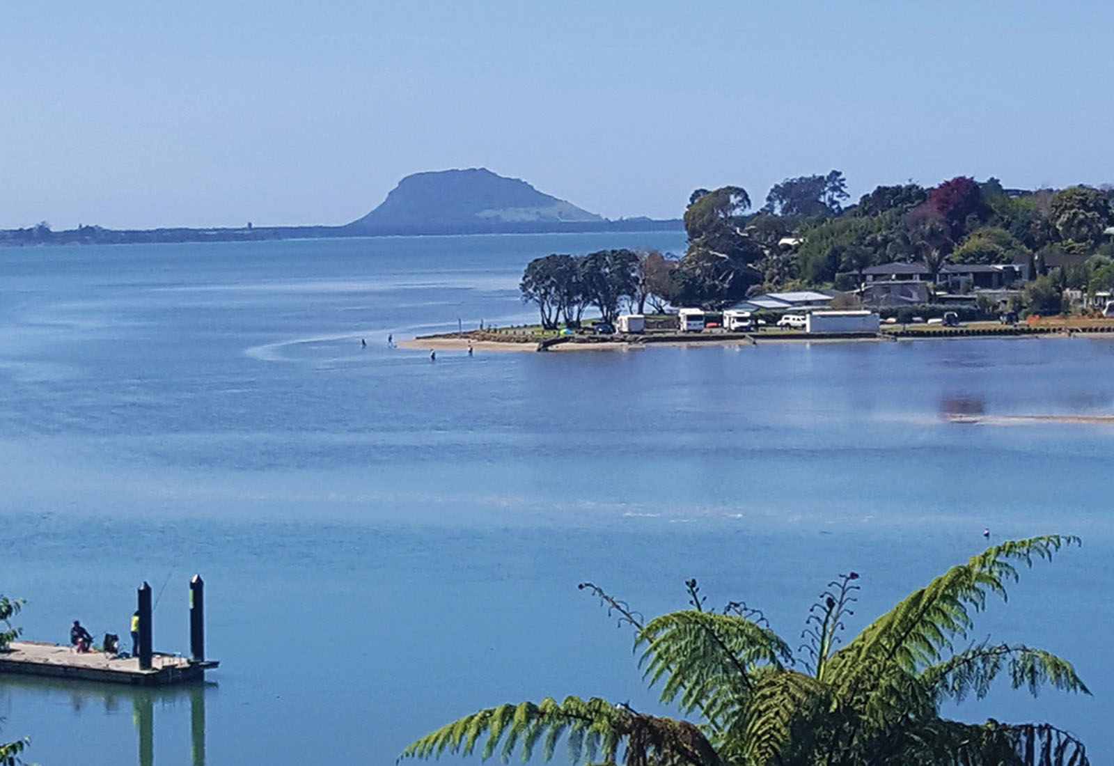 Full Schedule - Zealandier Tours
