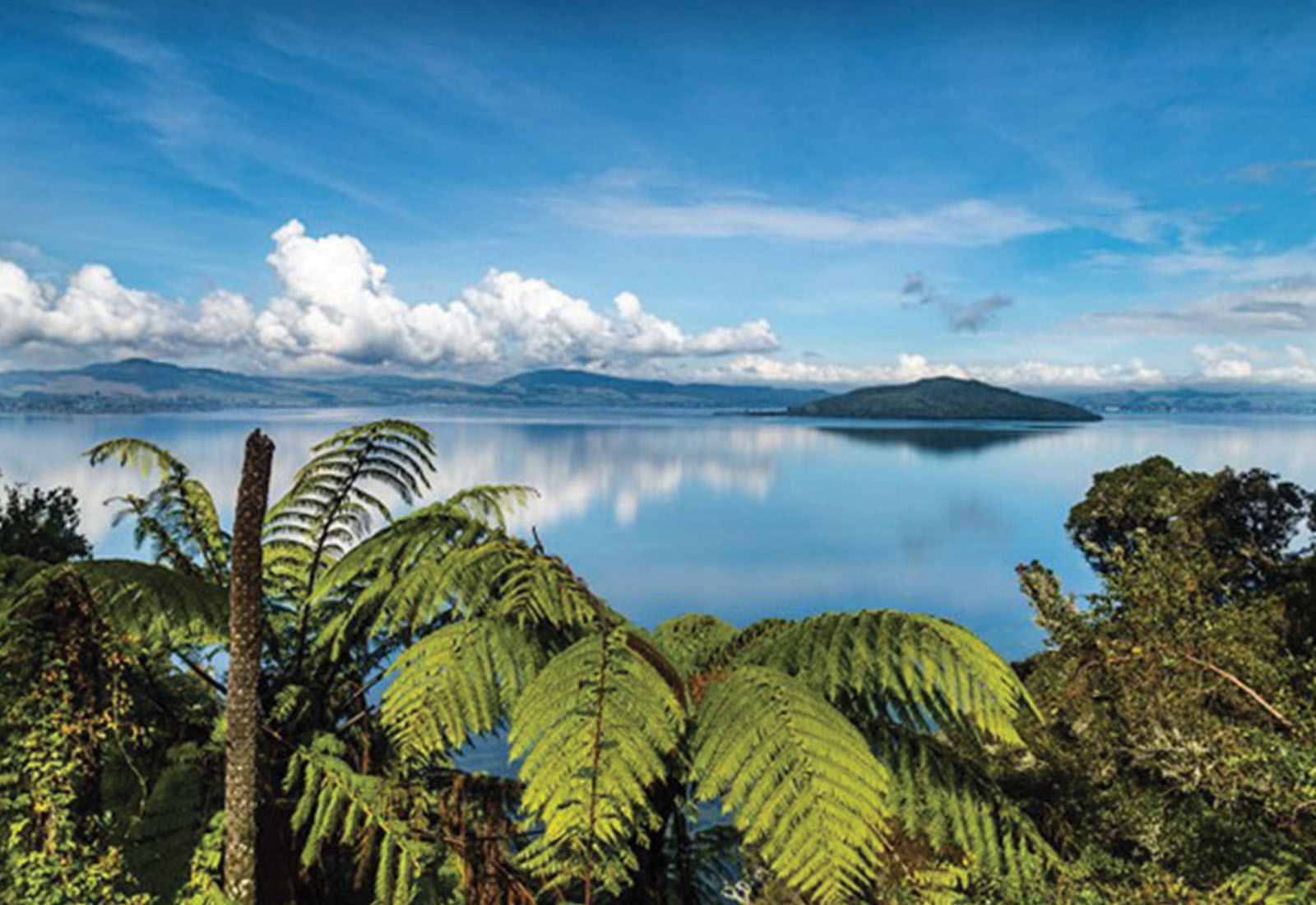 Full Schedule - Zealandier Tours